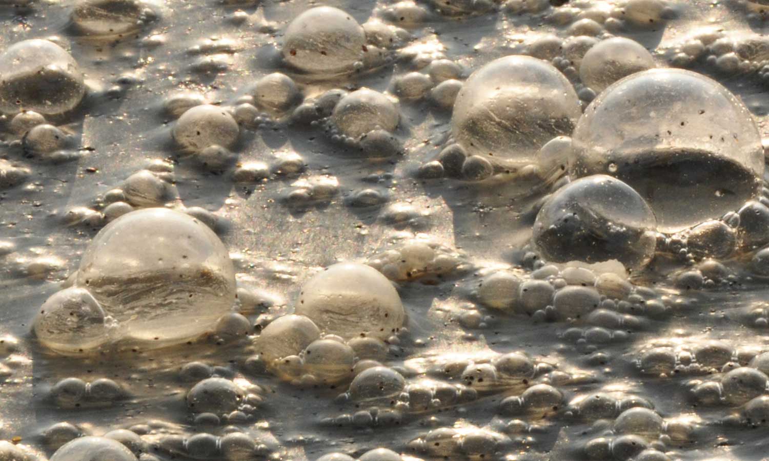 EPA’s New Water Rule a Mockery of Science and the Clean Water Act ...