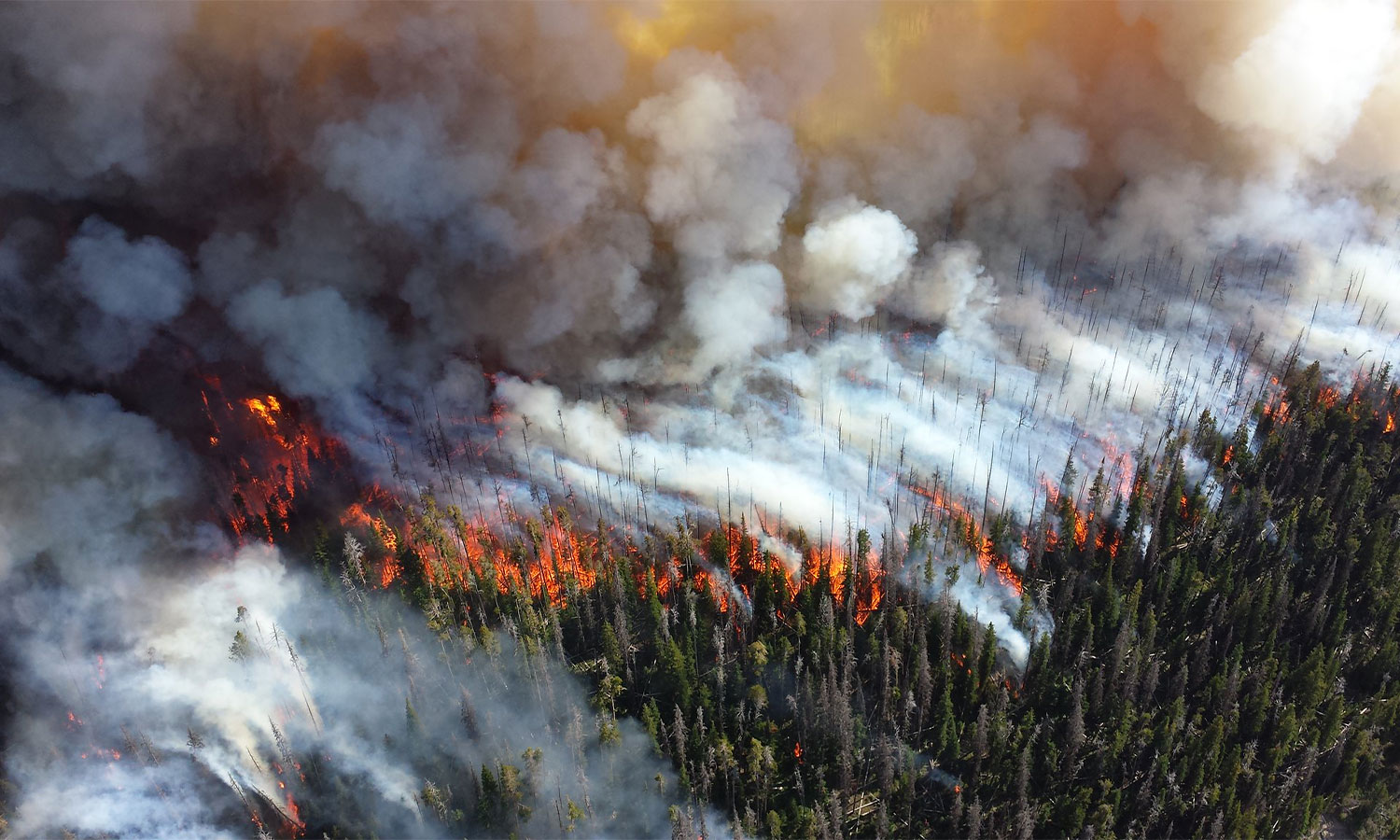 5 of California’s 6 Largest Fires on Record Are Burning Now: The ...