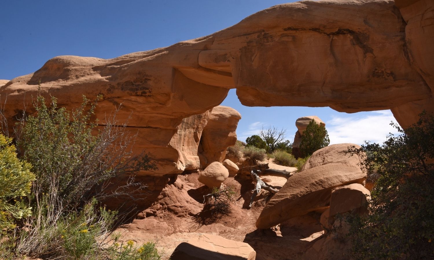 Photo Essay: Giving Bears Ears and Grand Staircase-Escalante the ...
