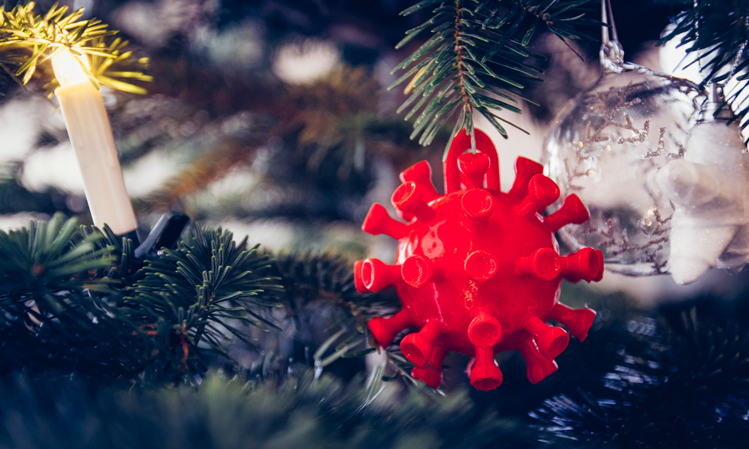 How Omicron Stole My Christmas: Facing the New Dominant COVID-19 ...