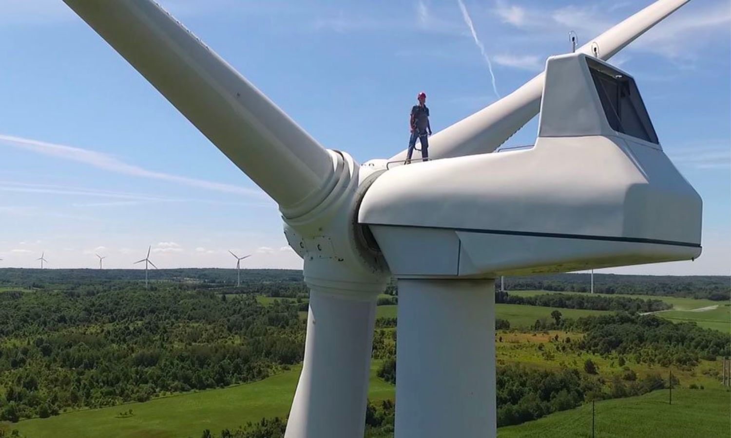 5 Powerful Facts for Global Wind Day - Union of Concerned Scientists