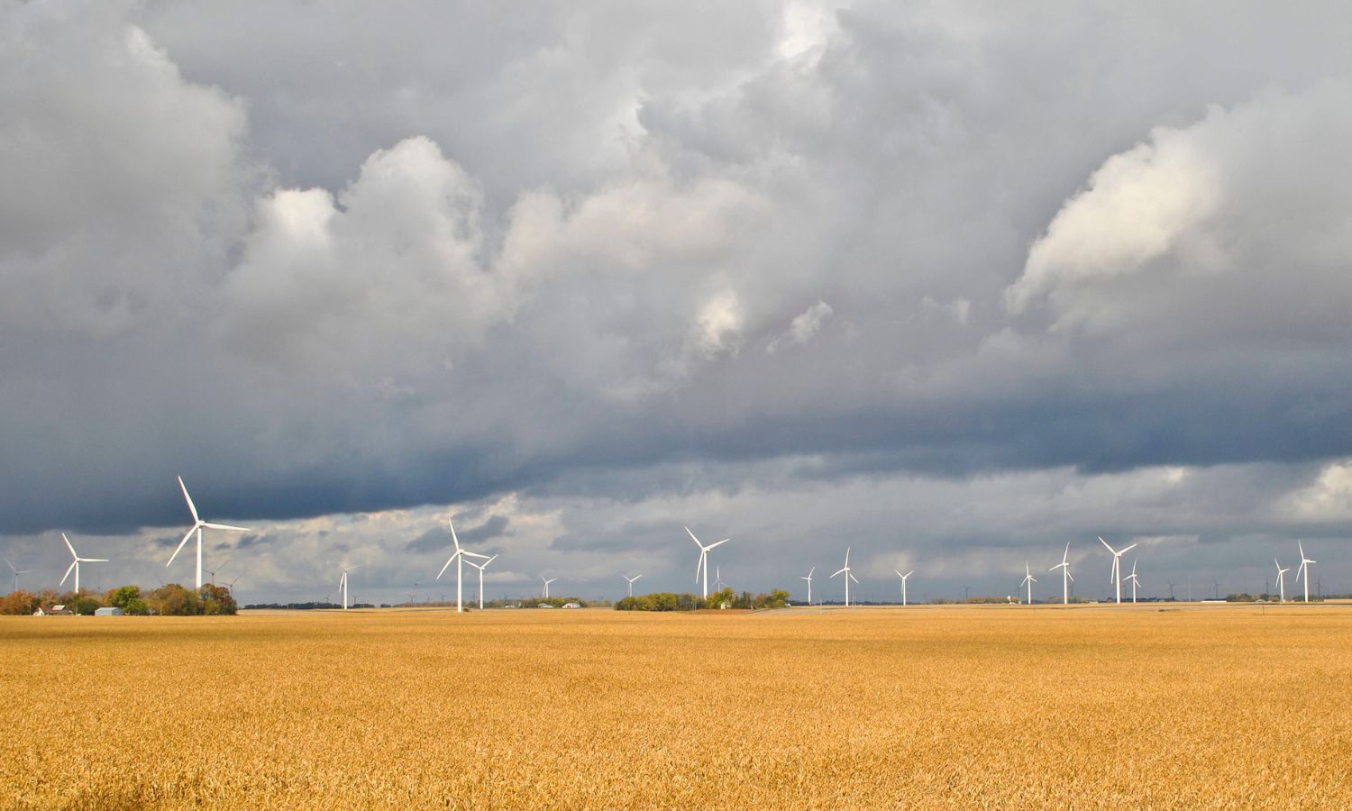 Building a Better Power Grid for Minnesota - Union of Concerned Scientists