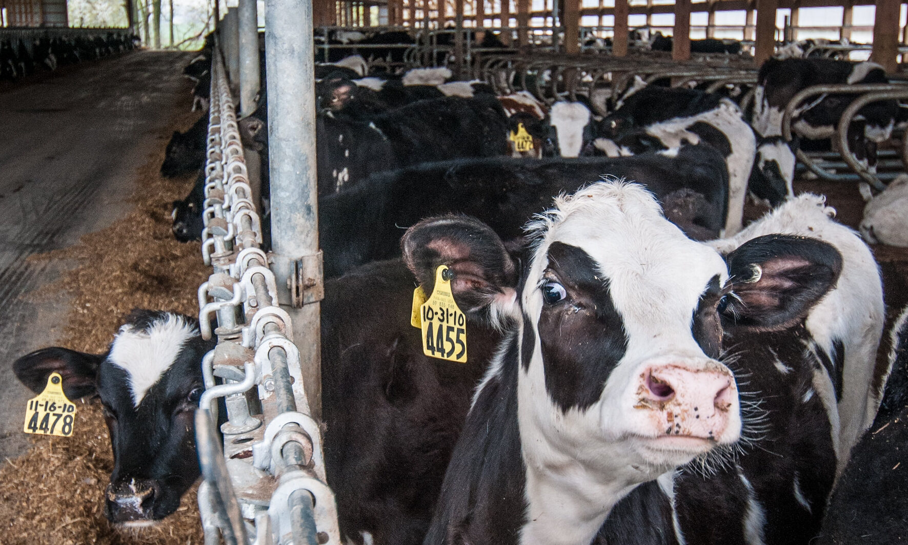 As the USDA Invests in “Climate-Smart” Agriculture, It’s Hard to Follow ...