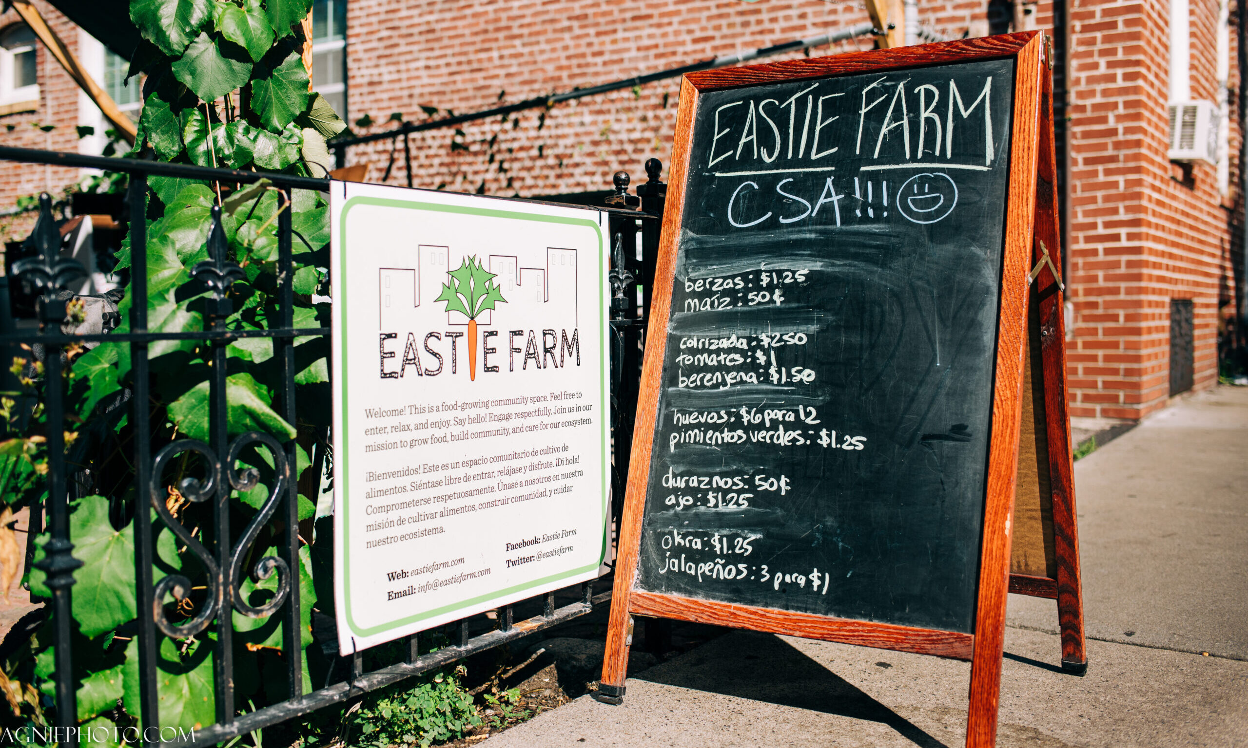 How Do You Fight for Environmental, Climate, and Food Justice? Eastie ...