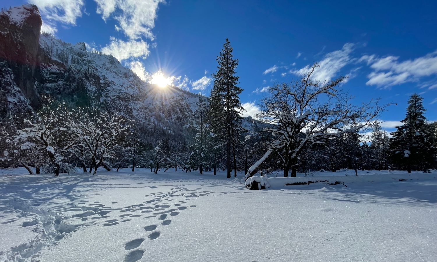 Four Reasons You Should Care about California Snow - Union of Concerned Scientists