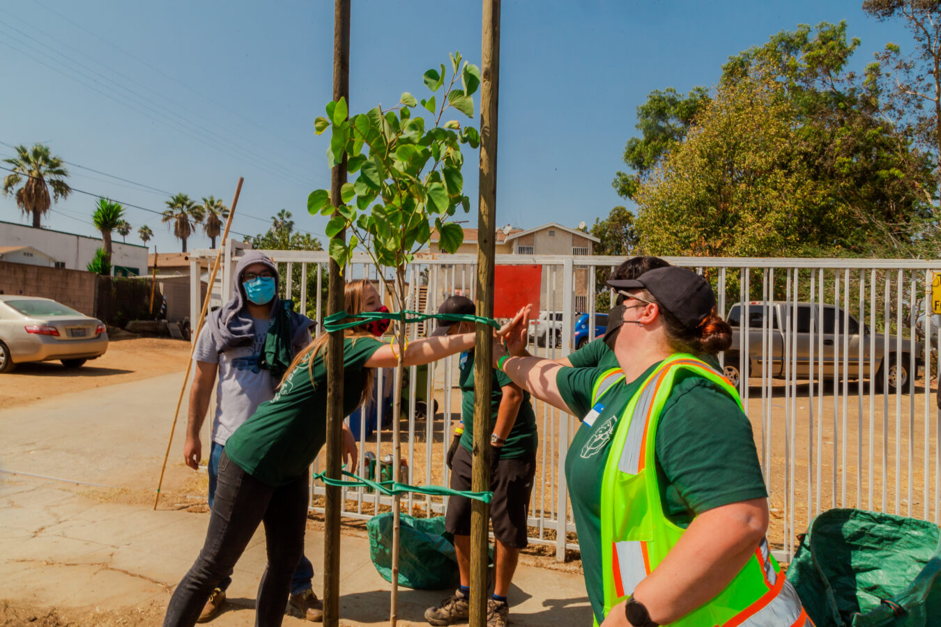 Growing Shade Equity, One Tree at a Time - Union of Concerned Scientists