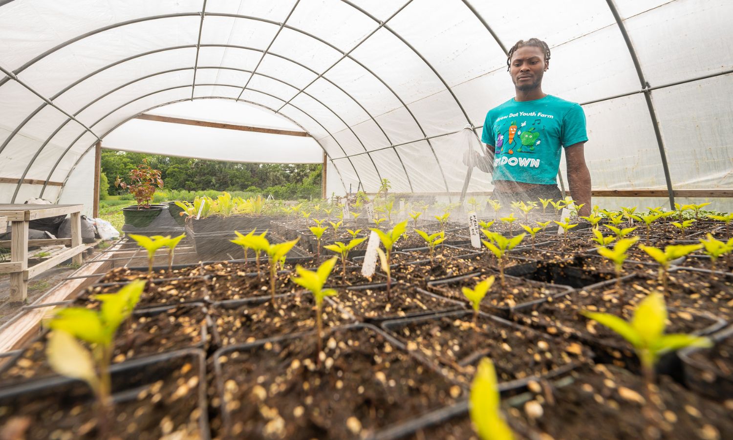 Congressional Ag Chairs Release Dueling Farm Bill Proposals. What ...
