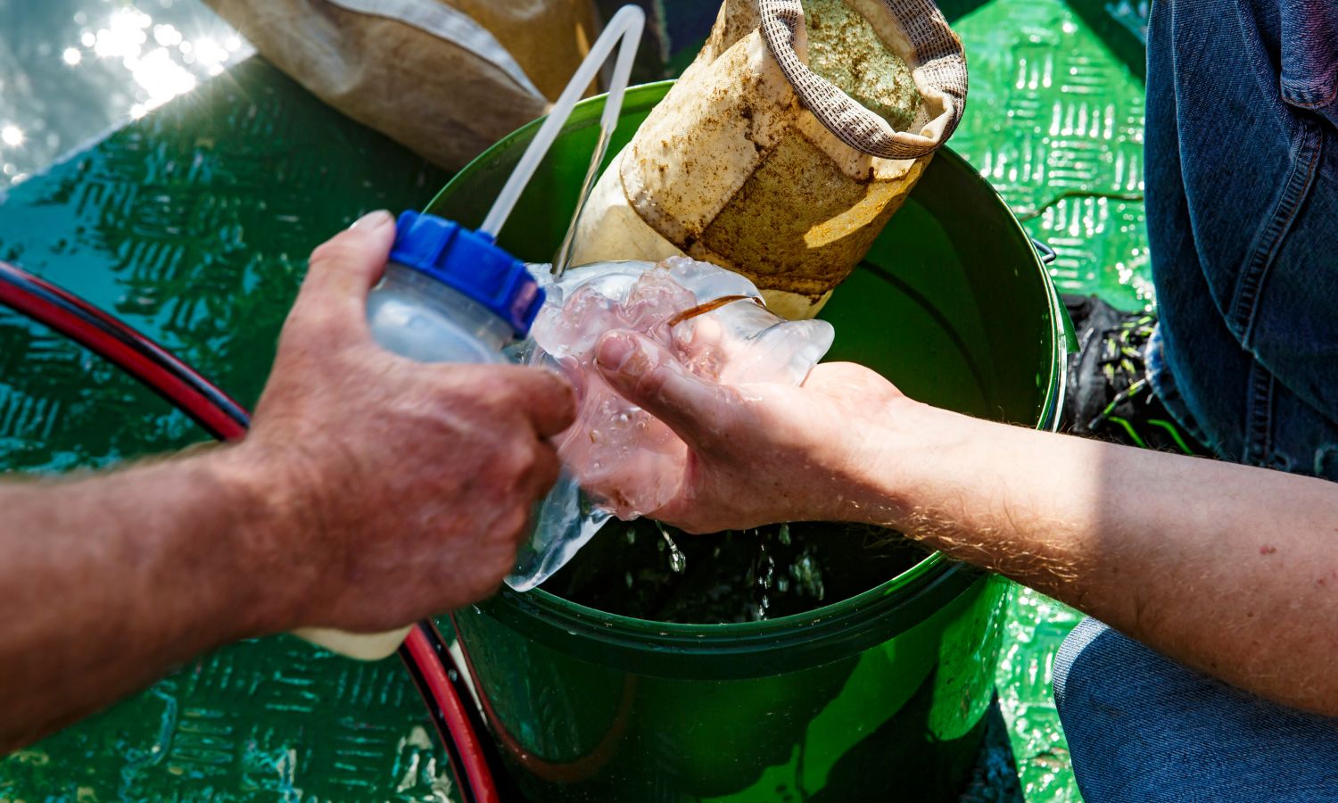 Scientists Keep Measuring the Dead Zone. Let’s Fix the Fertilizer that ...