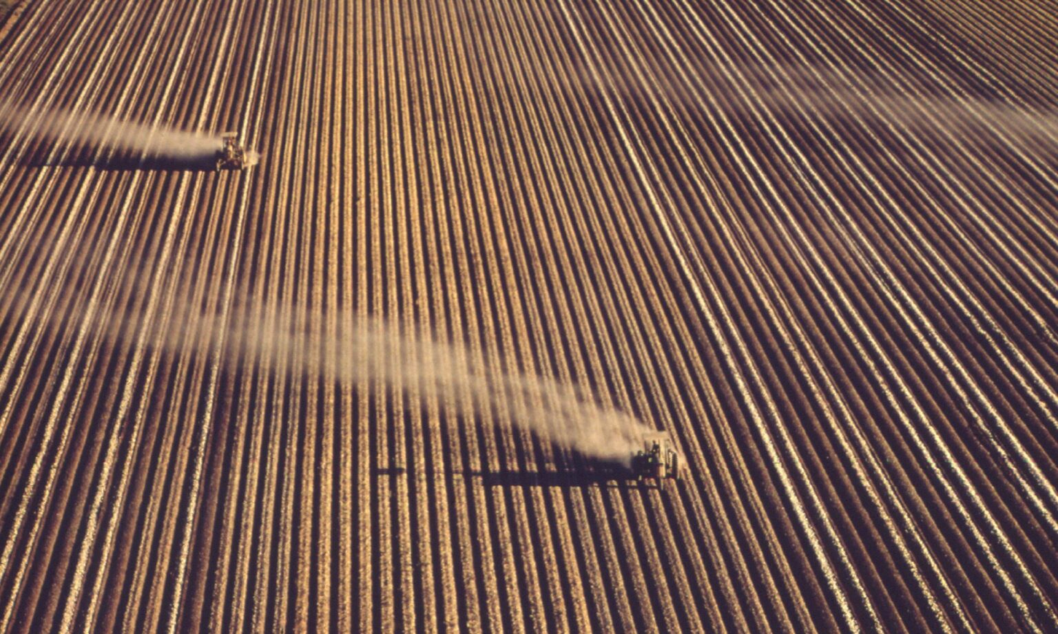 Half Wasted: Fertilizer Overuse, Pollution, and the Global Nitrogen ...