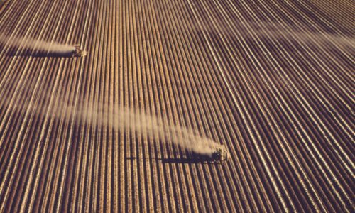 Half Wasted: Fertilizer Overuse, Pollution, and the Global Nitrogen ...